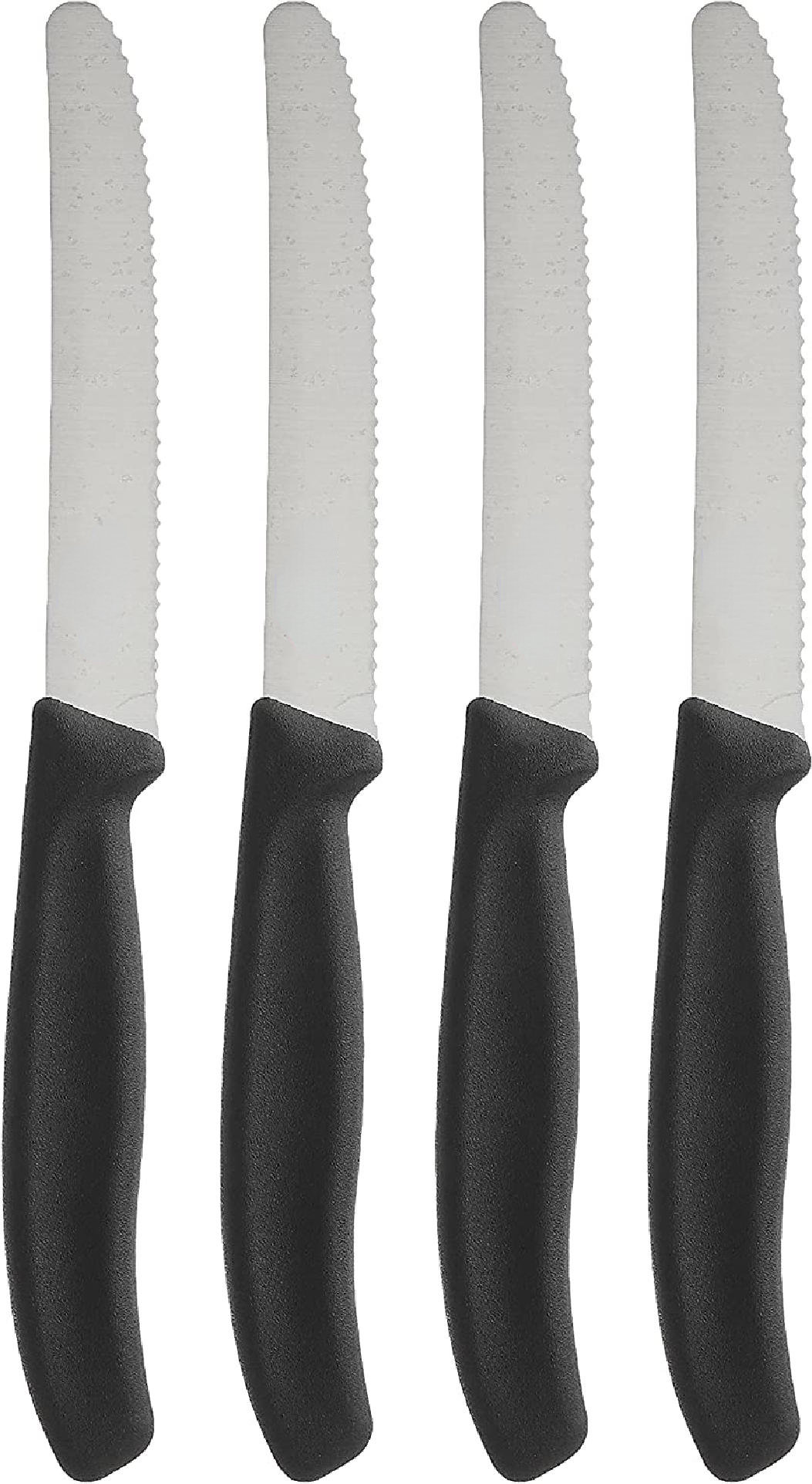 Ebern Designs Charlotten Serrated Steak Knife Set | Wayfair