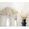 Primrue Preserved Billy Buttons Arrangement in Vase | Wayfair