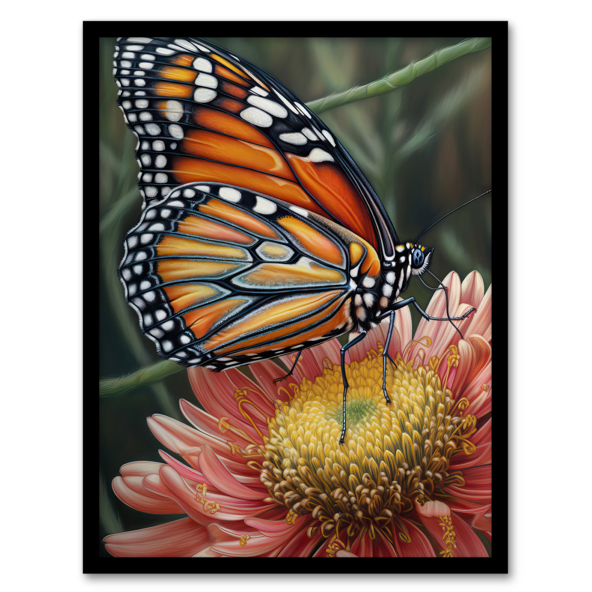 Brambly Cottage Akenya Monarch Butterfly Chrysanthemum Flower Spring ...