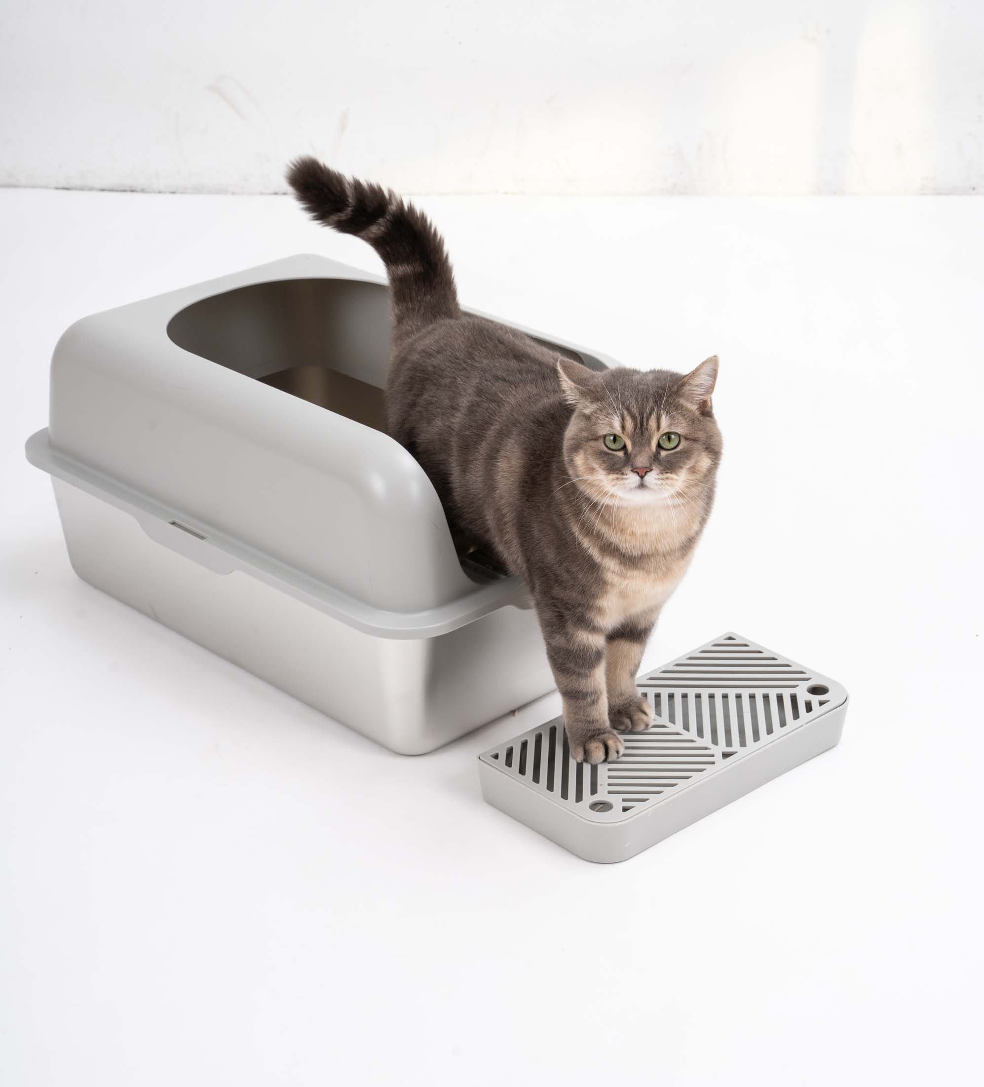 Ebern Designs Enclosed Stainless Steel Cat Litter Box with Lid Extra ...