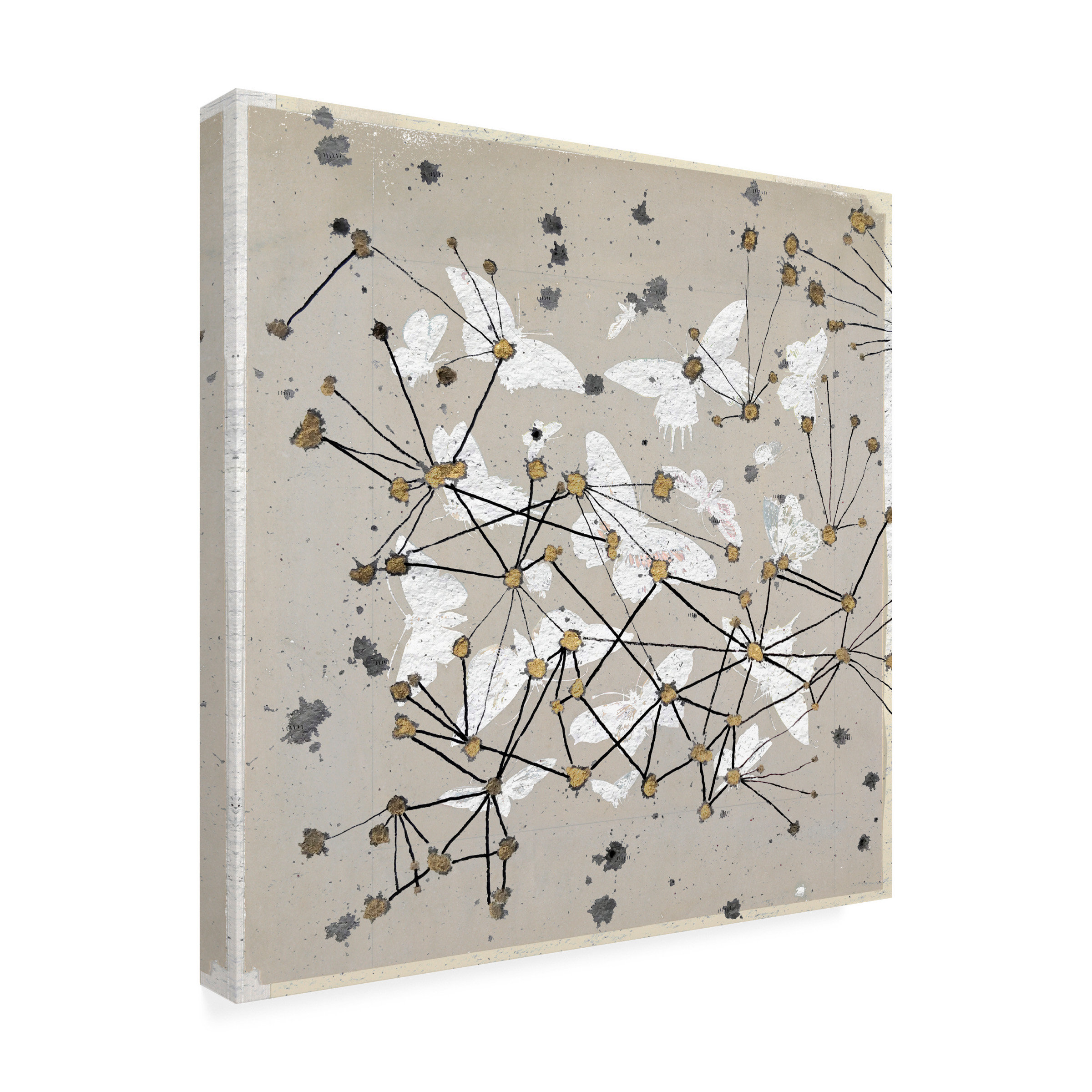 August Grove® 19th Century Butterfly Constellations I On Canvas by Lori ...