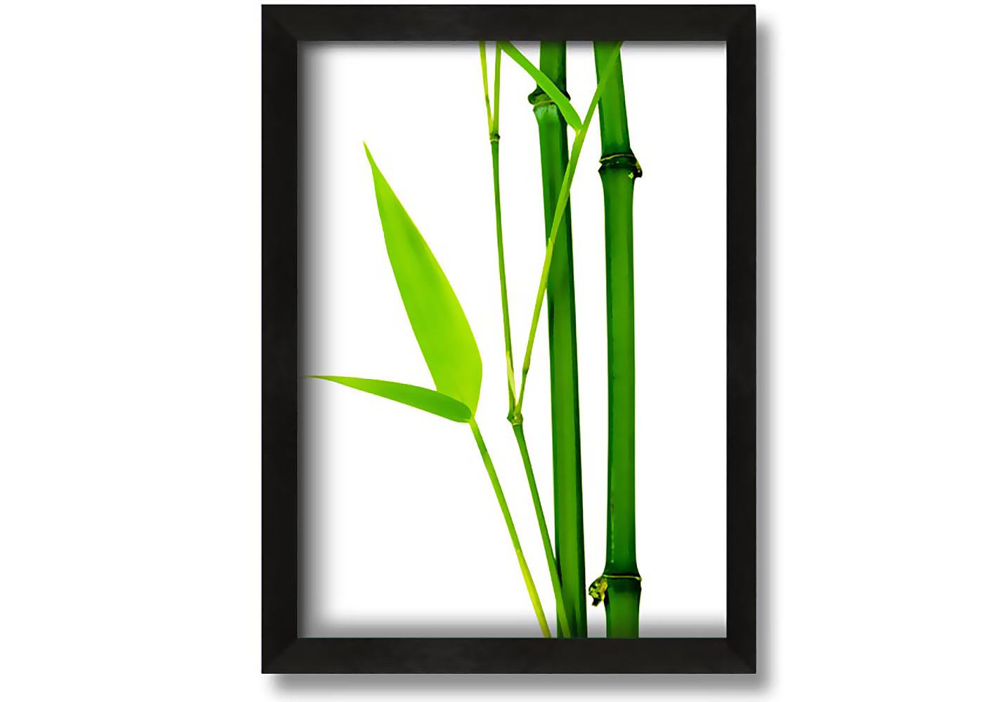 Ebern Designs Bamboo Cane - Picture Frame Painting on Canvas | Wayfair ...