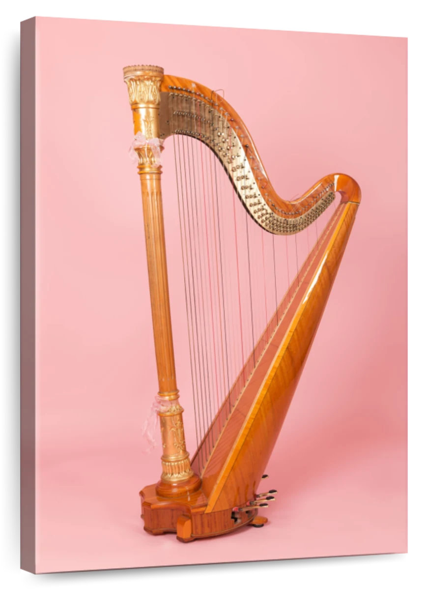 Ebern Designs Abarca Harp | Wayfair