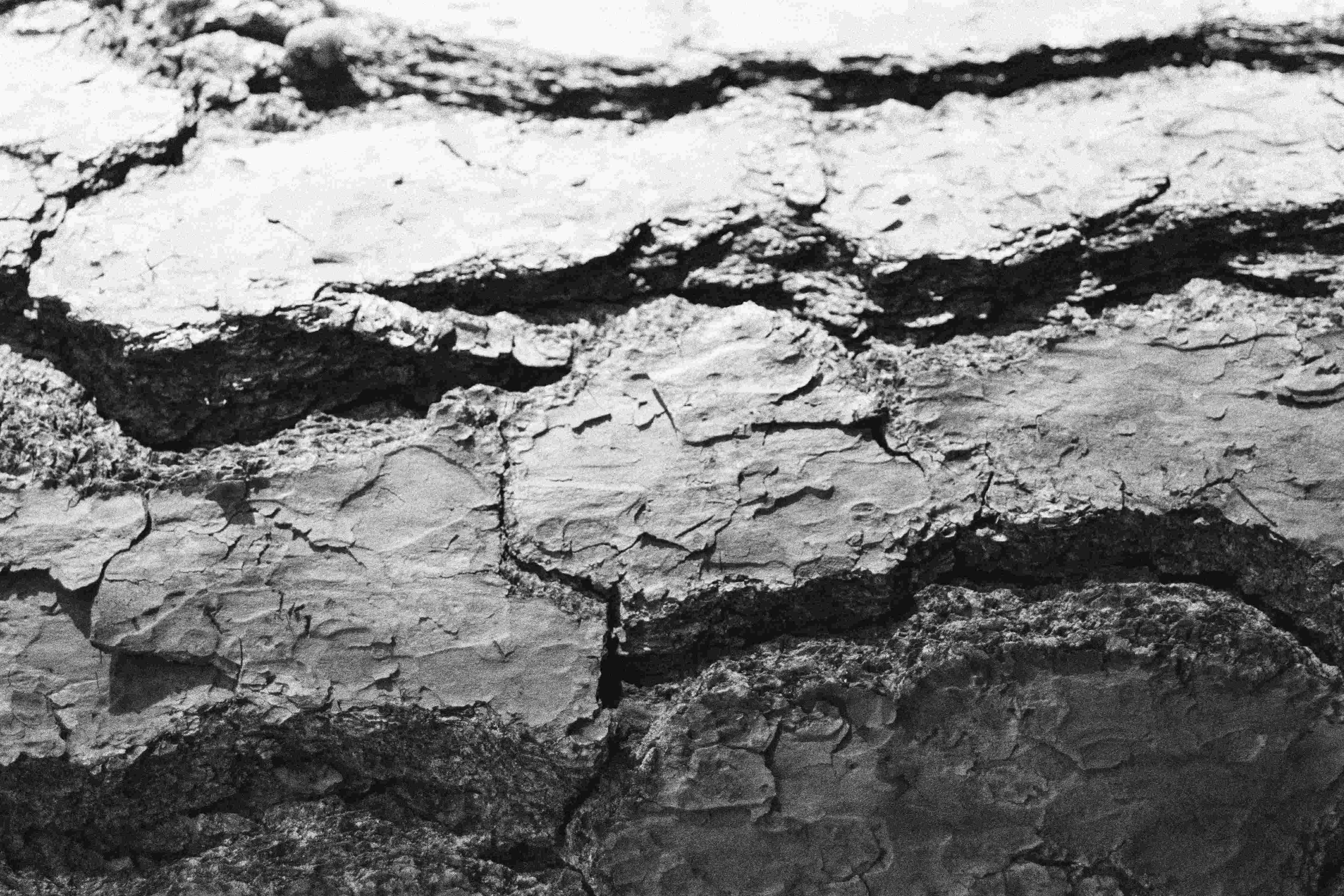 Ebern Designs Found Textures IV - Wrapped Canvas Painting | Wayfair