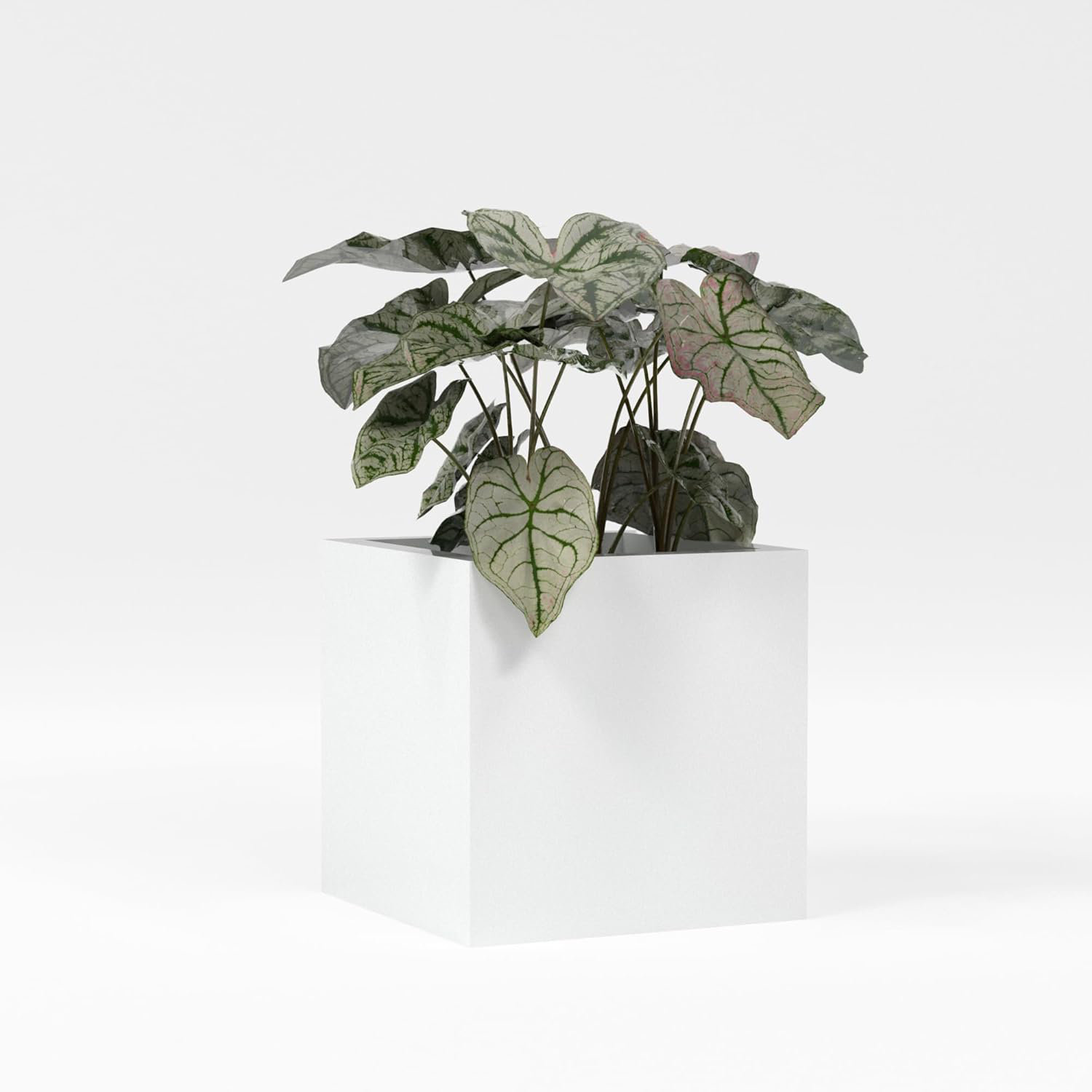 Orren Ellis Greenline Fiberglass Jack Medium Indoor/Outdoor Square Cube ...