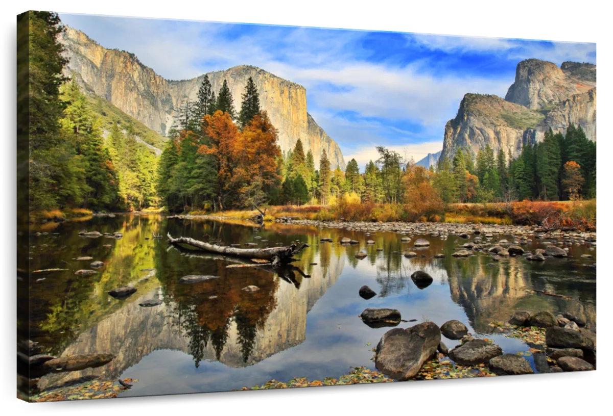 Millwood Pines Alvord Merced River Landscape | Wayfair