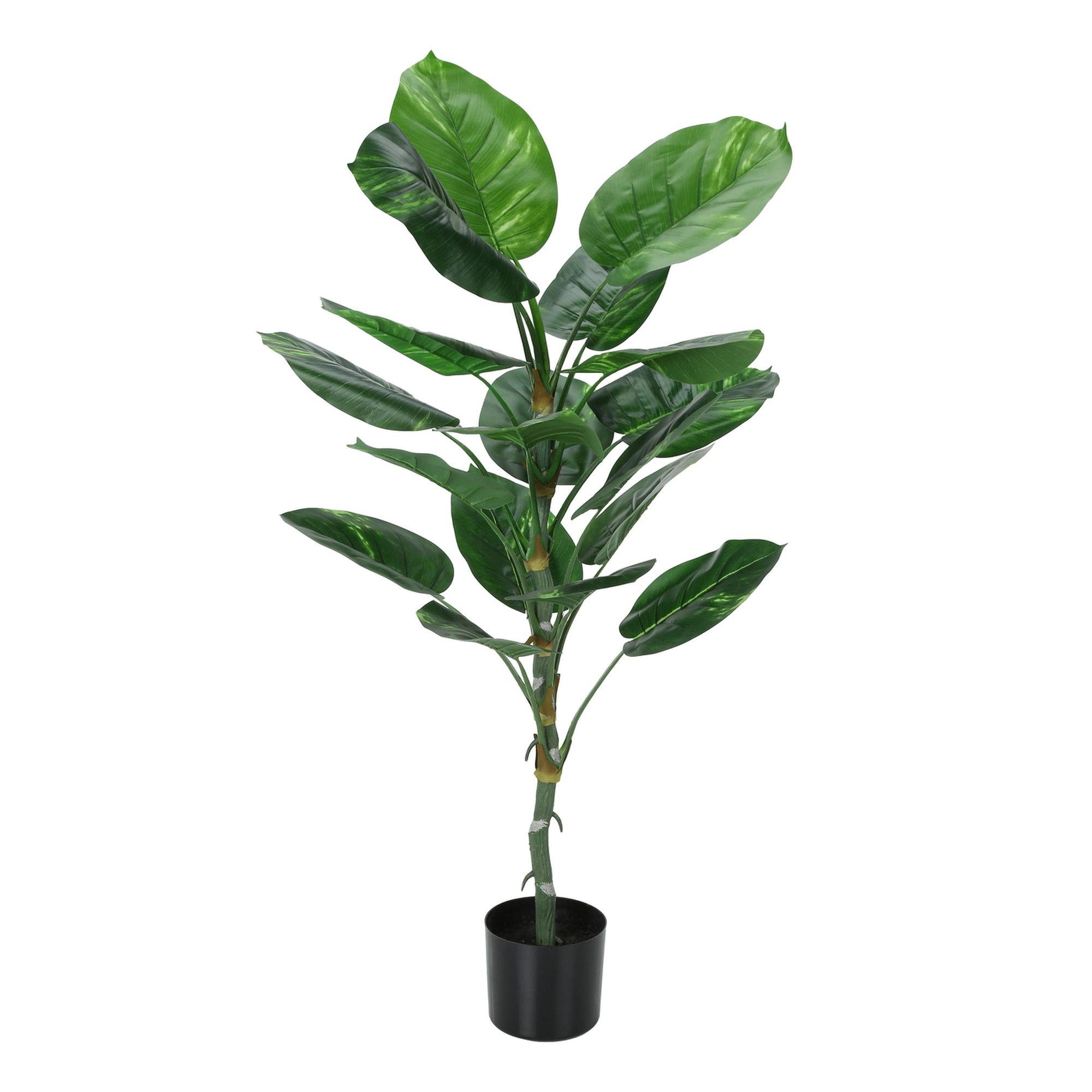 4CASA INTERNATIONAL Artificial Plant, 54" Tall, Dieffenbachia Tree ...