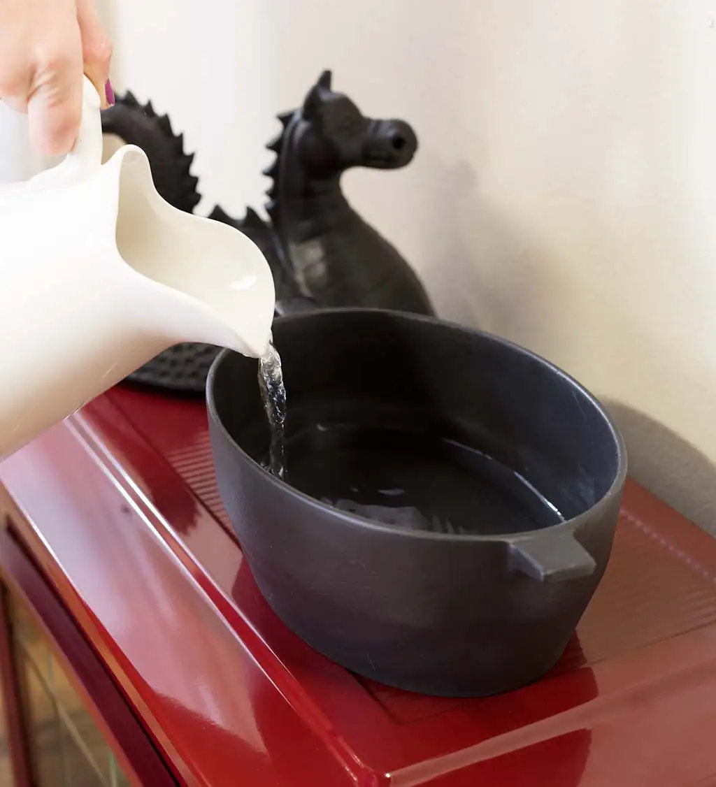 Plow & Hearth Iron Dragon Steamer & Reviews | Perigold