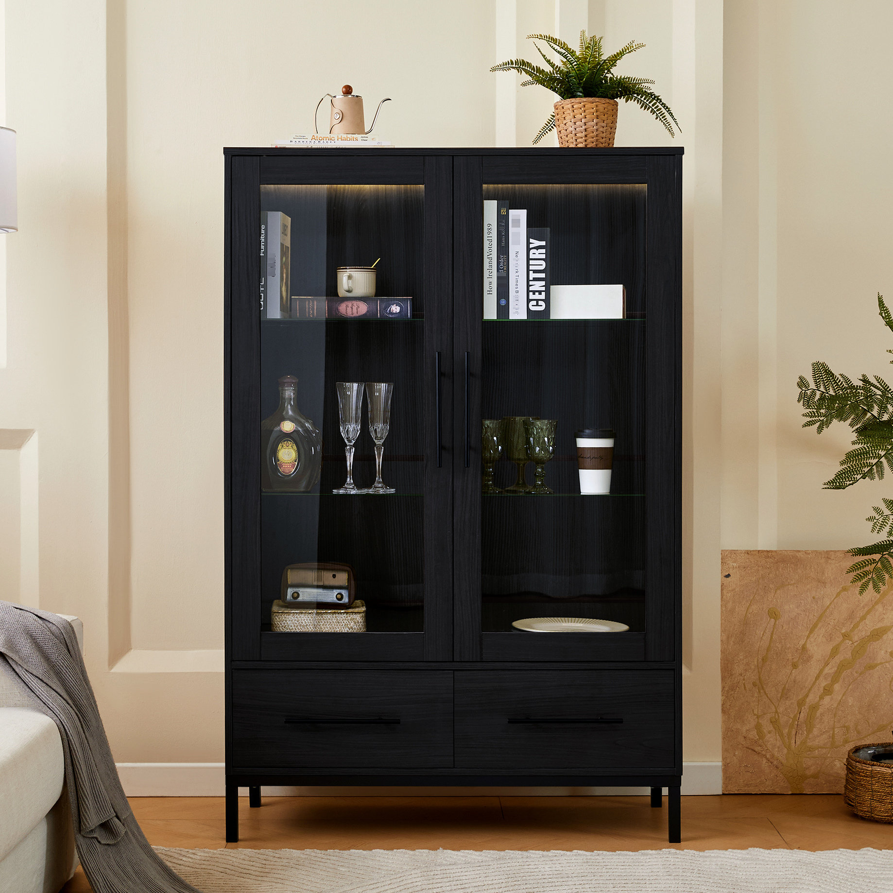 Latitude Run® 60'' Tall Modern Display Case With Tempered Glass Door ...