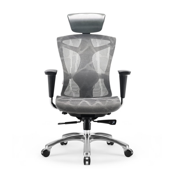 Inbox Zero Mainka Ergonomic Task Chair with Headrest | Wayfair