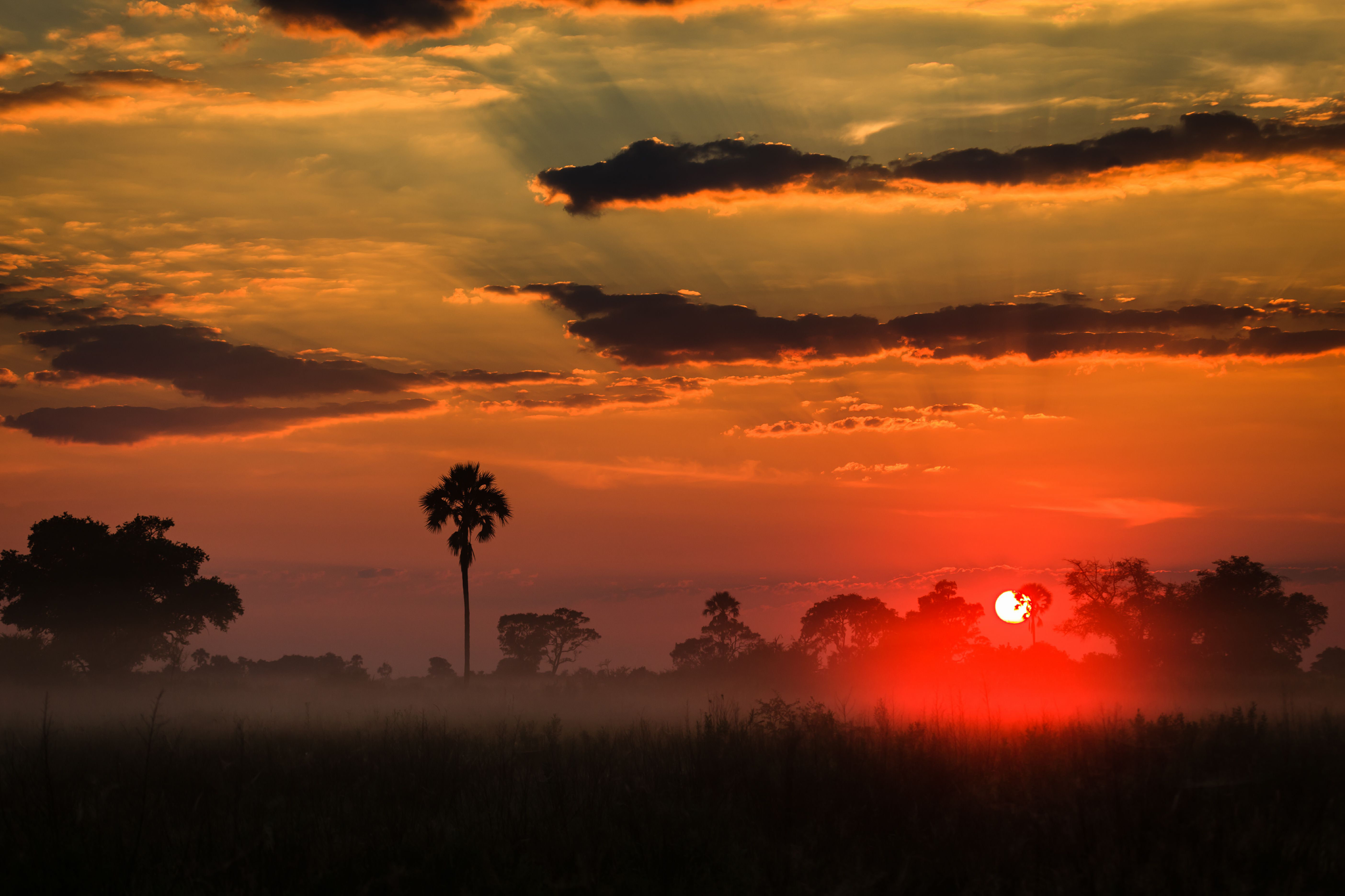 Ebern Designs Sunrise Layers Clouds by - Wrapped Canvas Photograph ...