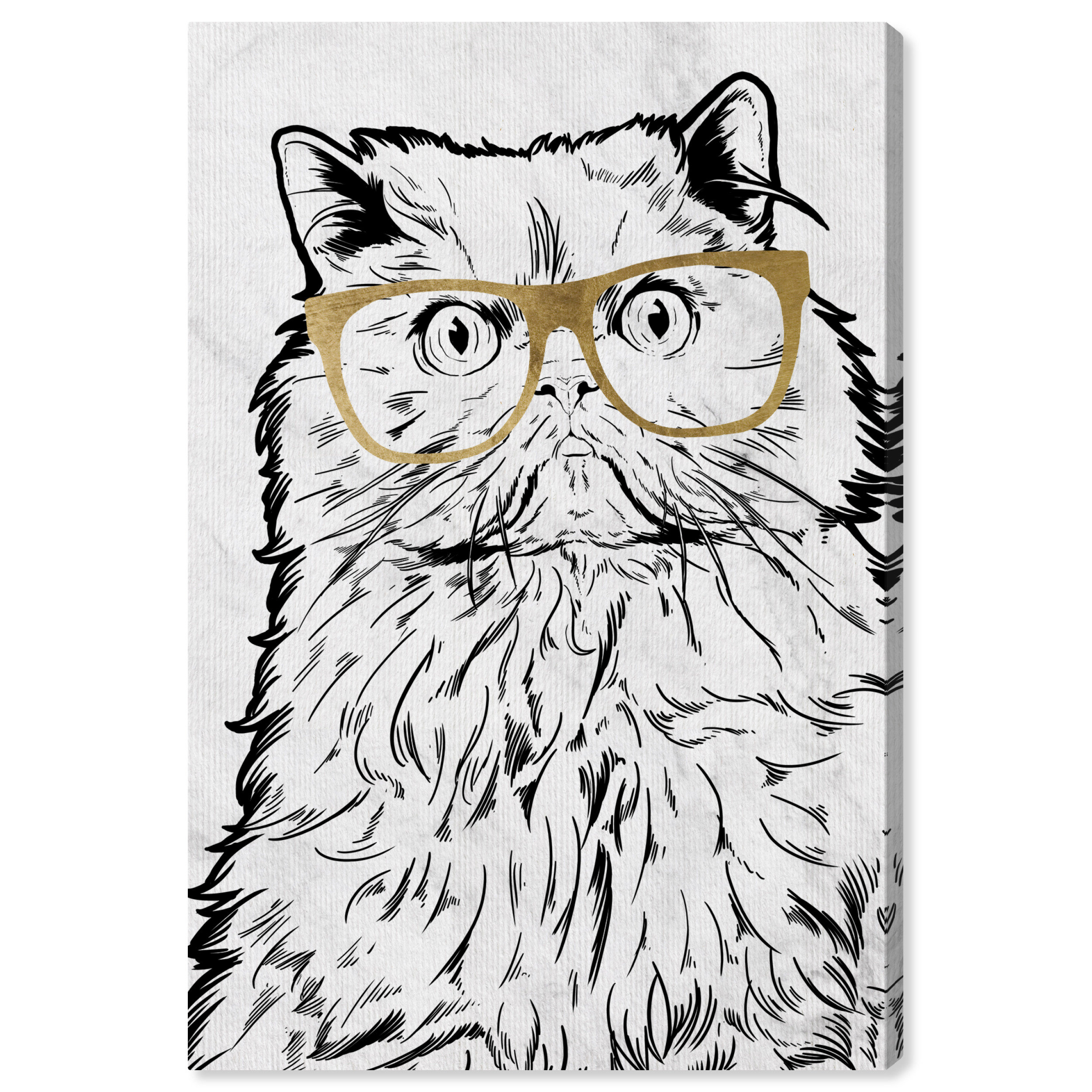 Oliver Gal Cat " Cat With Gold Glasses " | Wayfair