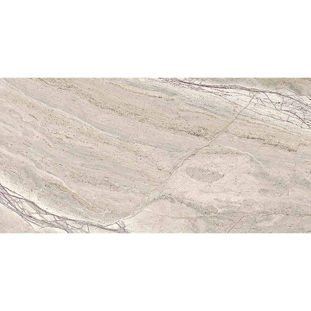 Apollo Tile Splendor 23.62'' W x 47.25'' L Porcelain Singular Tile ...
