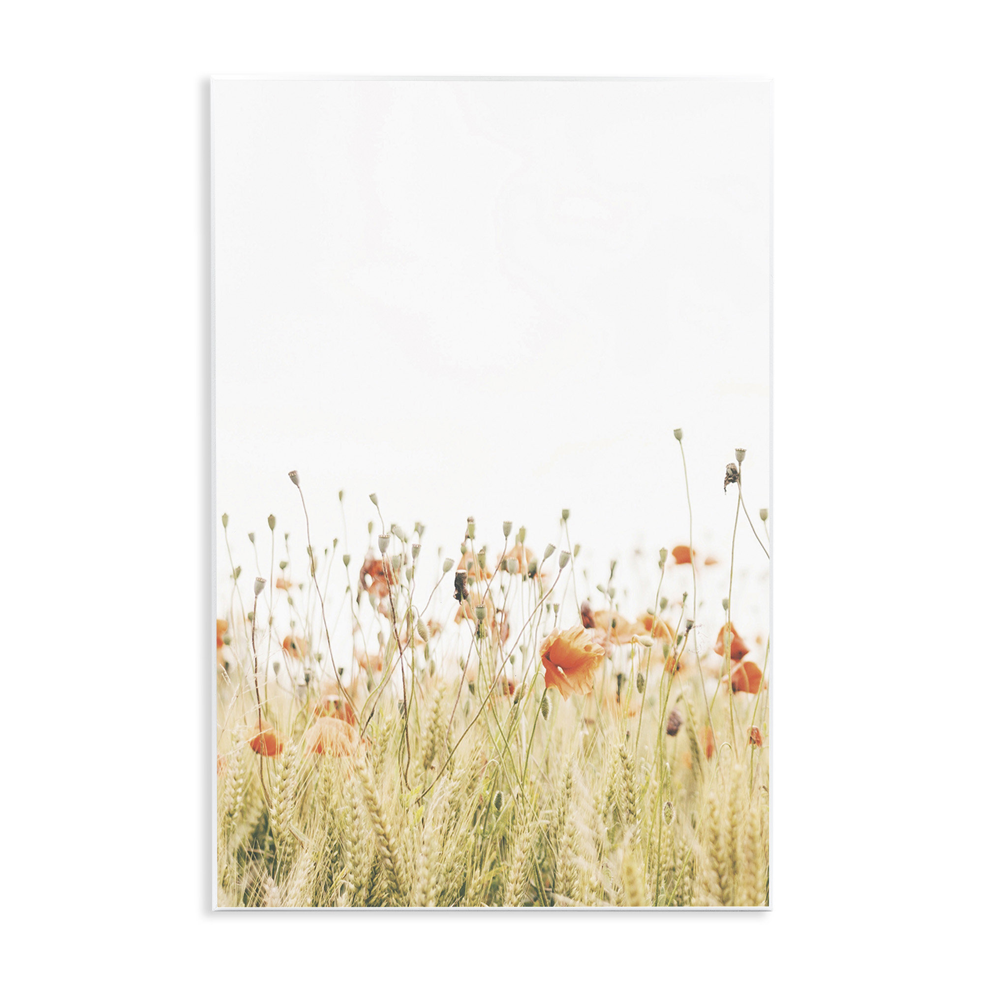 Stupell Industries Az-316-Framed Poppy Field Print | Wayfair