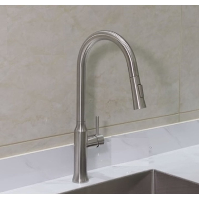 MAX Faucets Pull Out Kitchen Faucet - Wayfair Canada