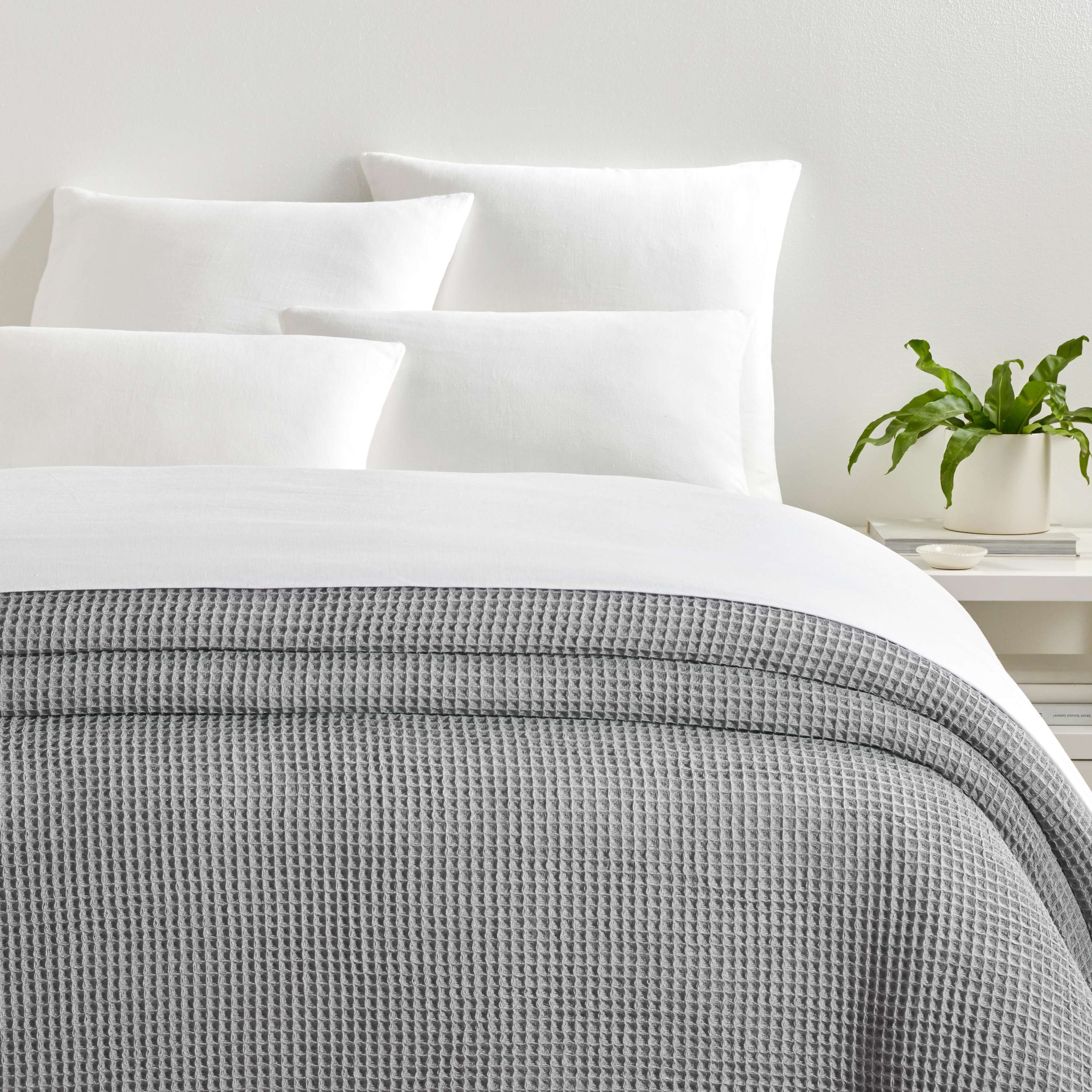 Birch Lane™ Braya 100% Cotton Blanket - Wayfair Canada