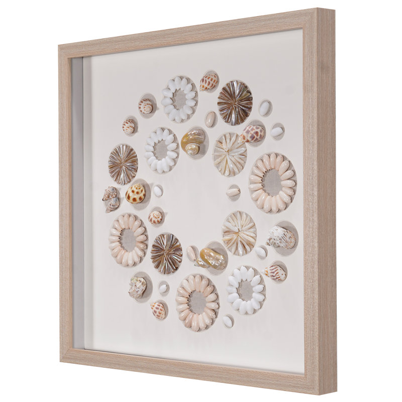 Dakota Fields Assorted Natural Shells Shadow Box Wall Décor | Wayfair