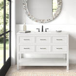 Wrought Studio Sharan 48'' Single Bathroom Vanity with Top with Mirror ...