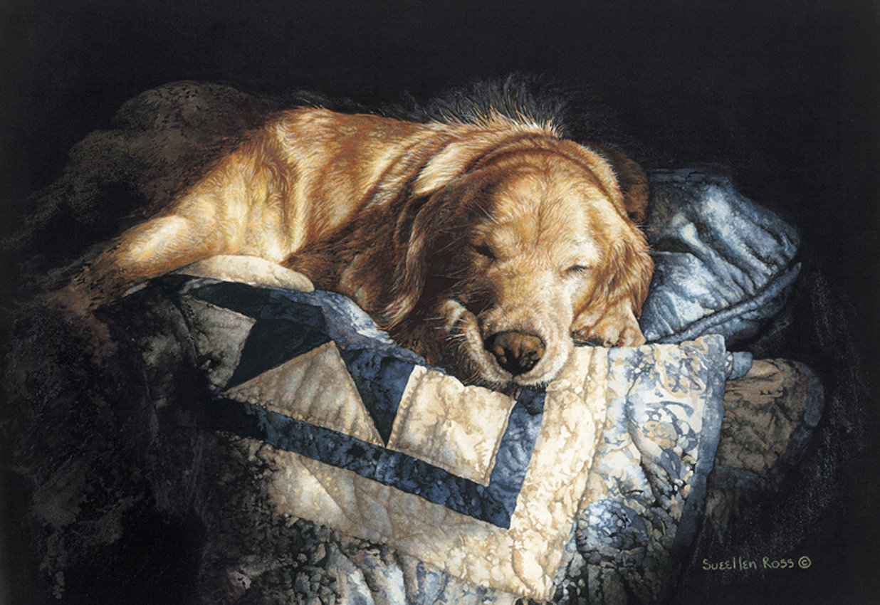 The Finishing Touch 'Snooze' by Suellen Ross Painting Print | Wayfair