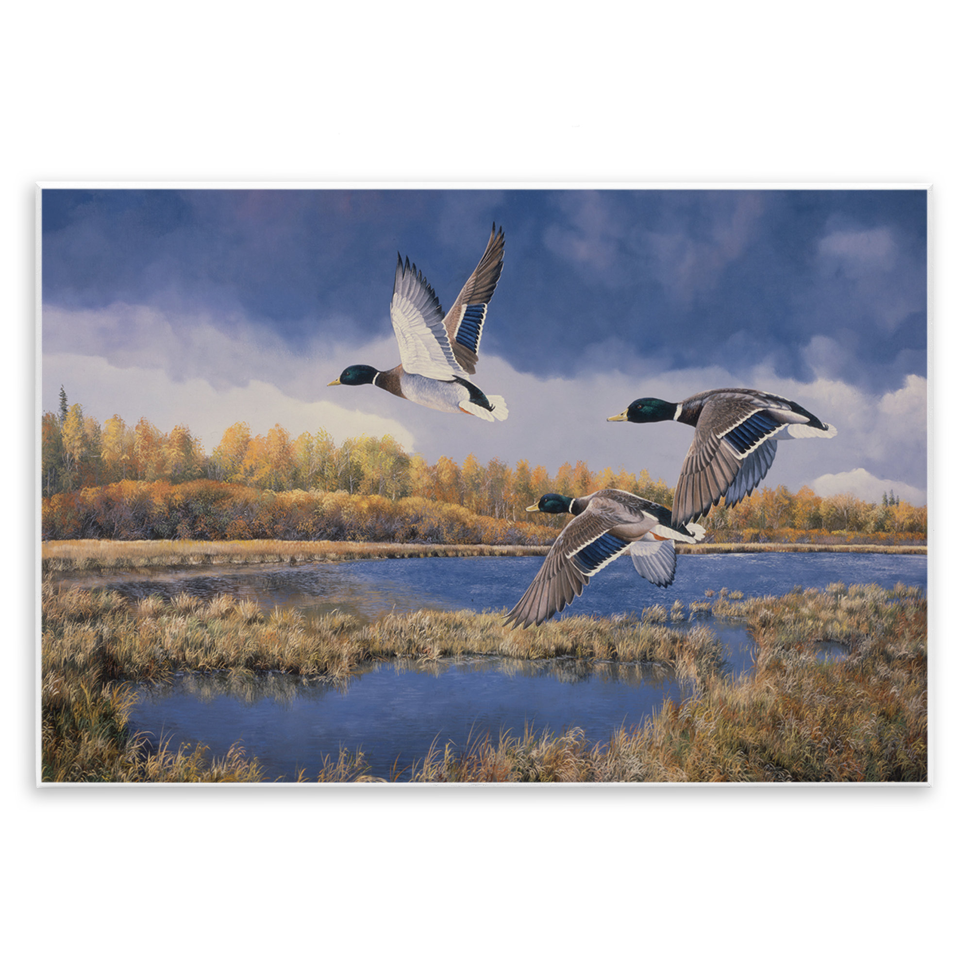 Union Rustic Ducks Heading South Wall Plaque Art by Andrew Kiss | Wayfair