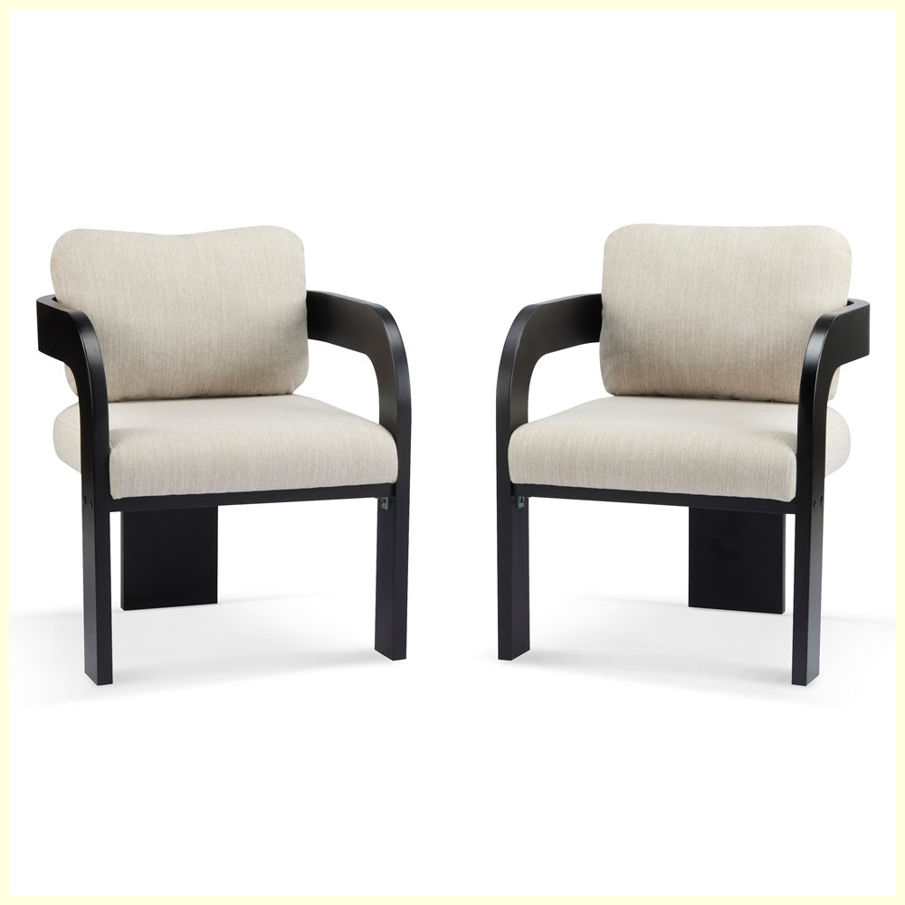 Hokku Designs Modern Dining Chairs with Pillow Back - Wayfair Canada