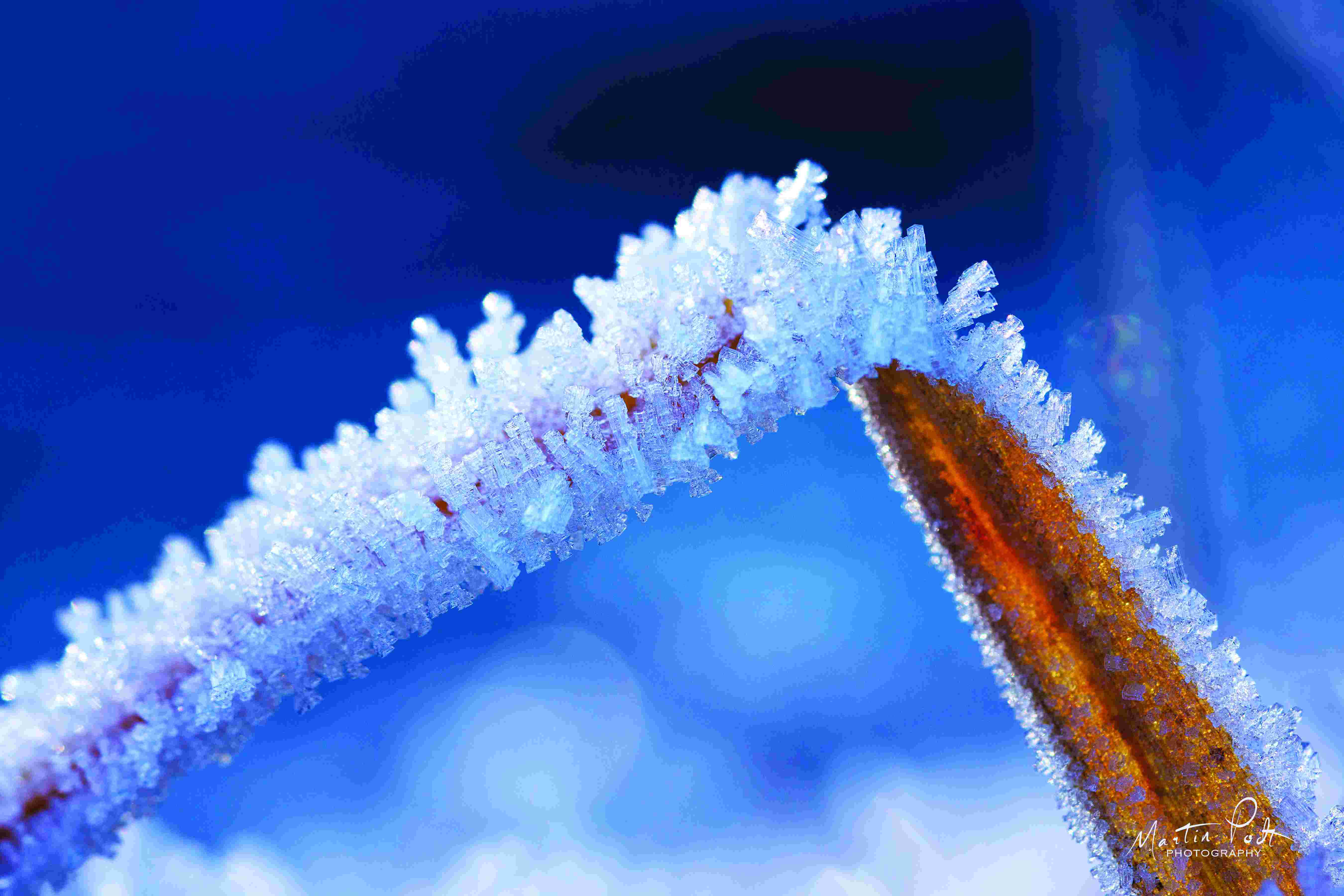 Ebern Designs Ice Cold - Wrapped Canvas Painting | Wayfair