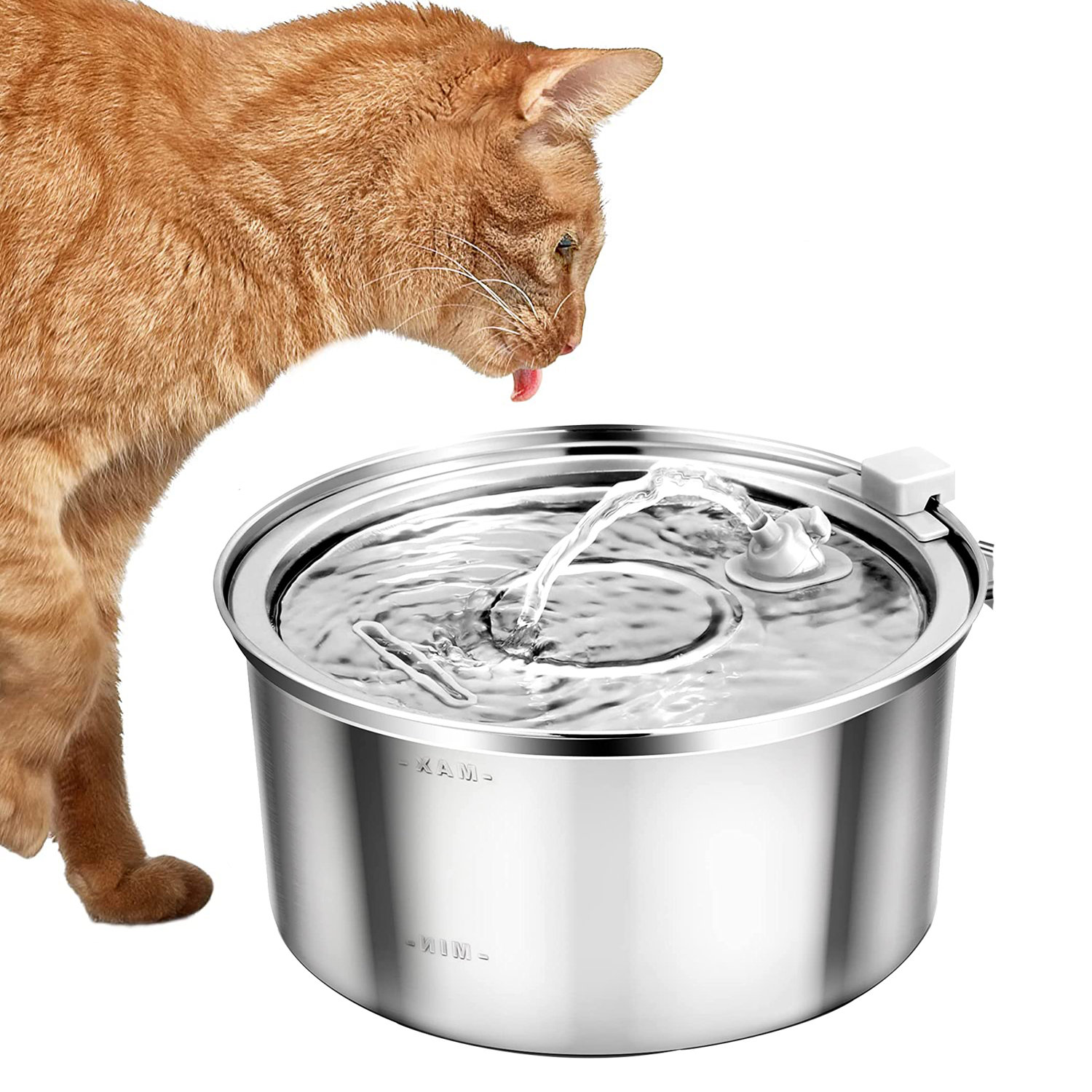 Grand Servico Stainless Steel Automatic Water Dish - Wayfair Canada