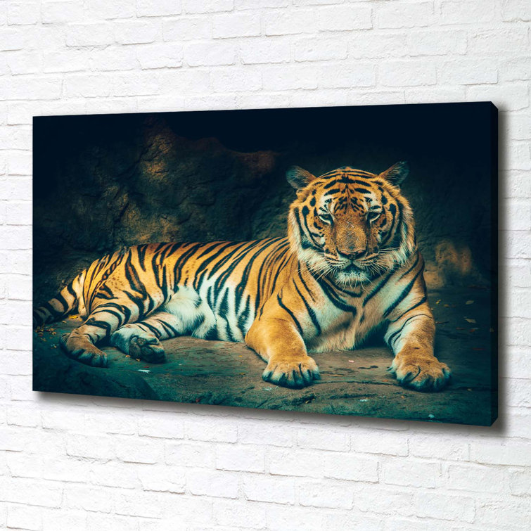 Latitude Vive A Tiger In A Cave - Wrapped Canvas Art Prints | Wayfair.co.uk