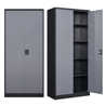 WFX Utility™ Reposa 70.87" H x 31.5" W x 15.7" D Metal Storage Cabinet ...