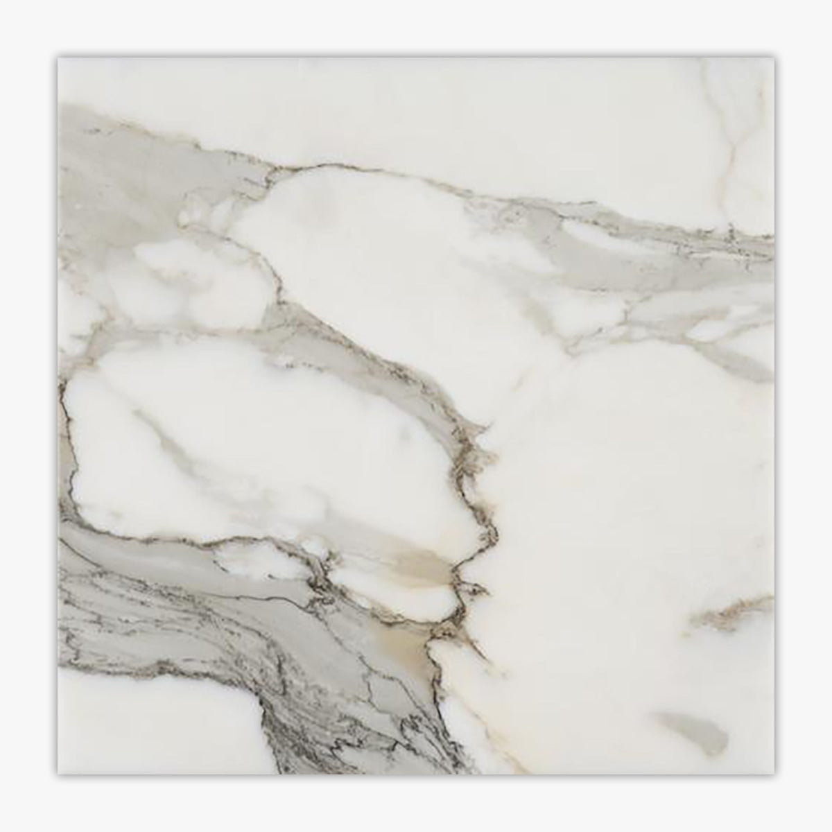 Calacatta Tile 12" x 12" Marble Wall & Floor Tile | Wayfair