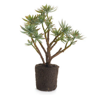 Luxury Faux Plants & Trees | Perigold