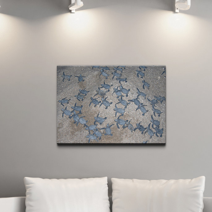 Bay Isle Home™ Turtle Hatchlings by Christopher Doherty - Wrapped ...
