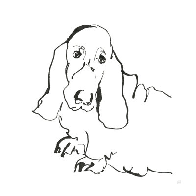 basset hound coloring book