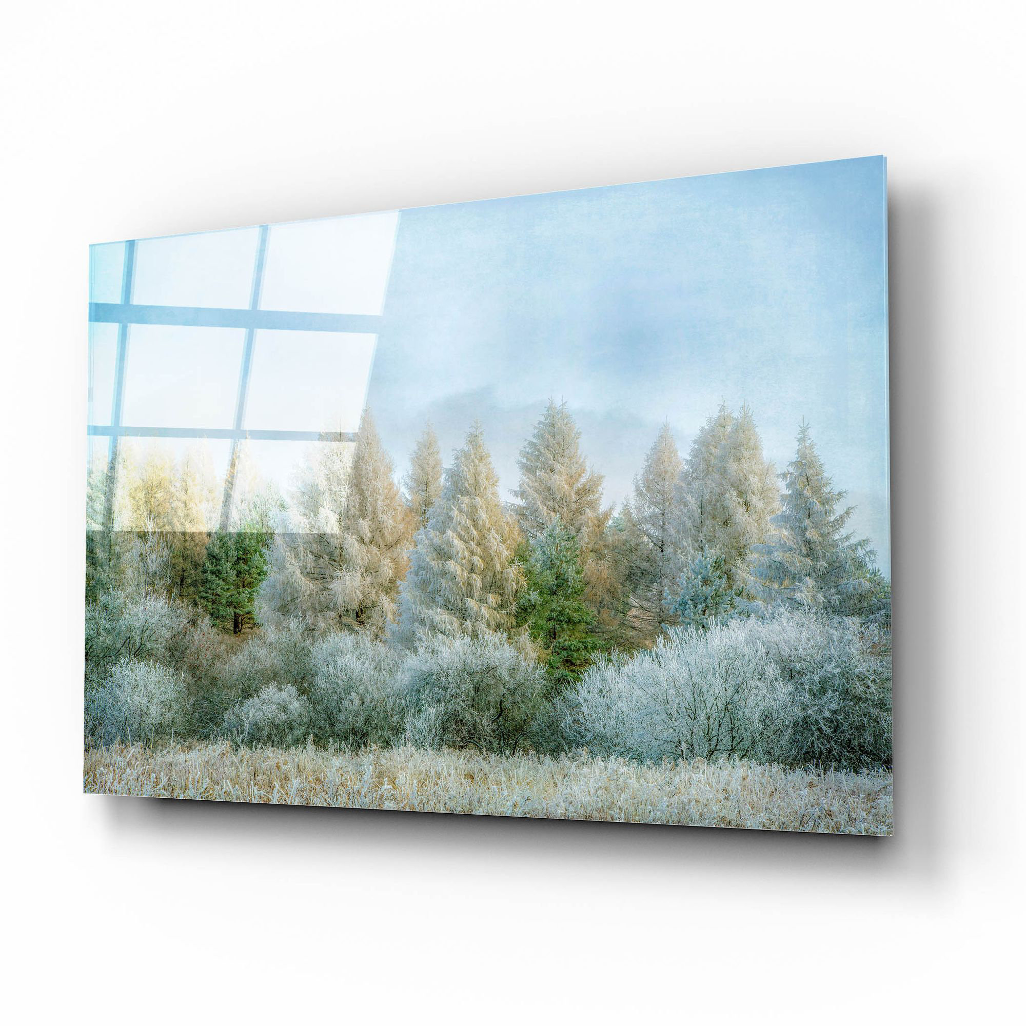 Millwood Pines Winter Wonderland On Plastic / Acrylic by Brooke T. Ryan ...