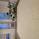 Wade Logan® Charvik Solid Color Handmade Area Rug in Ivory & Reviews ...