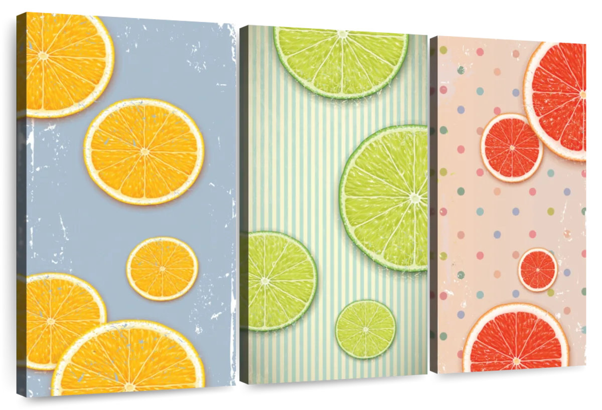Elephant Stock Chic Citrus Slices | Wayfair
