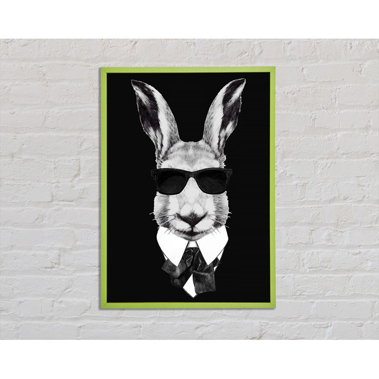 Happy Larry Aubrelle Mafia Rabbit - Single Picture Frame Art Prints ...