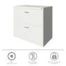 Inbox Zero 2-Drawer Lateral Filing Cabinet & Reviews | Wayfair