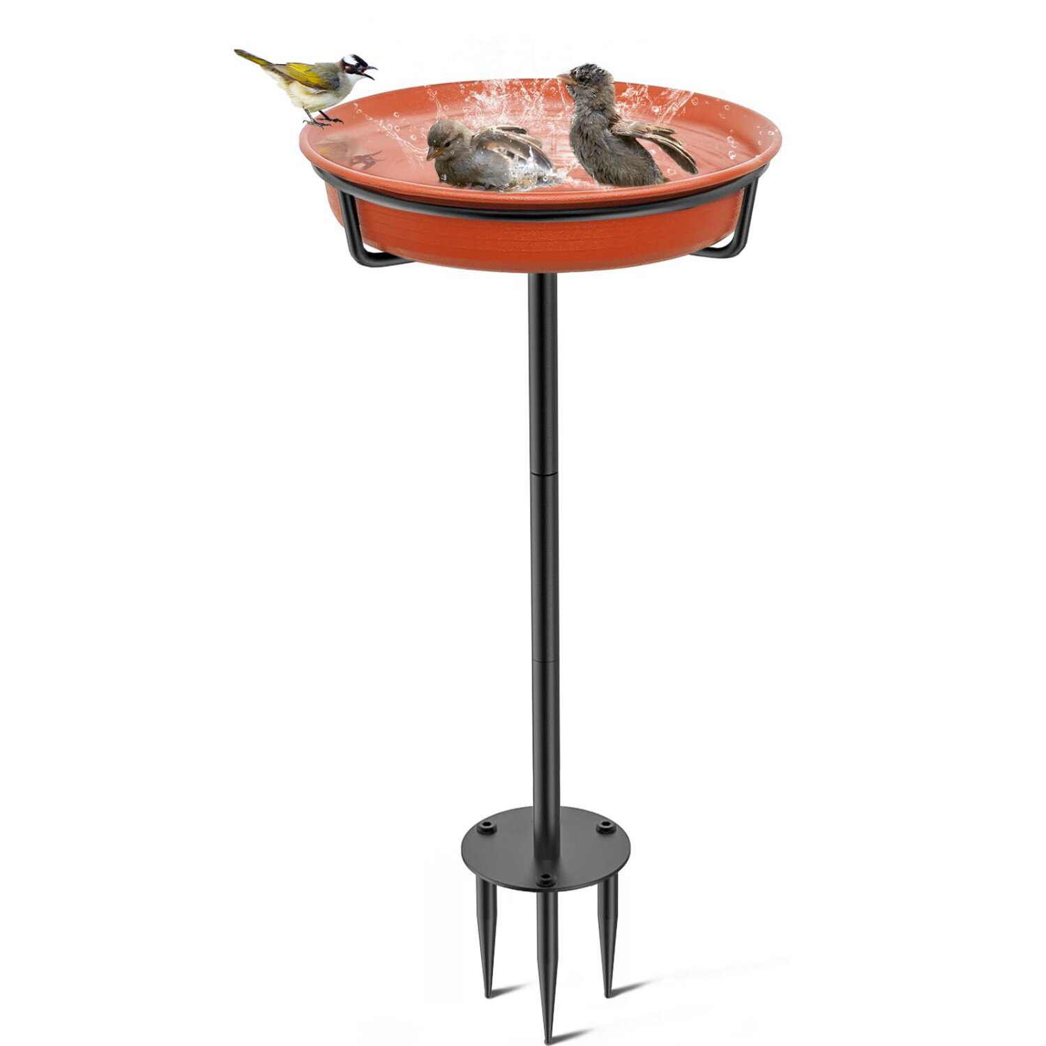 Red Barrel Studio® Bird Baths for Outdoors,Freestanding Bird Baths for ...