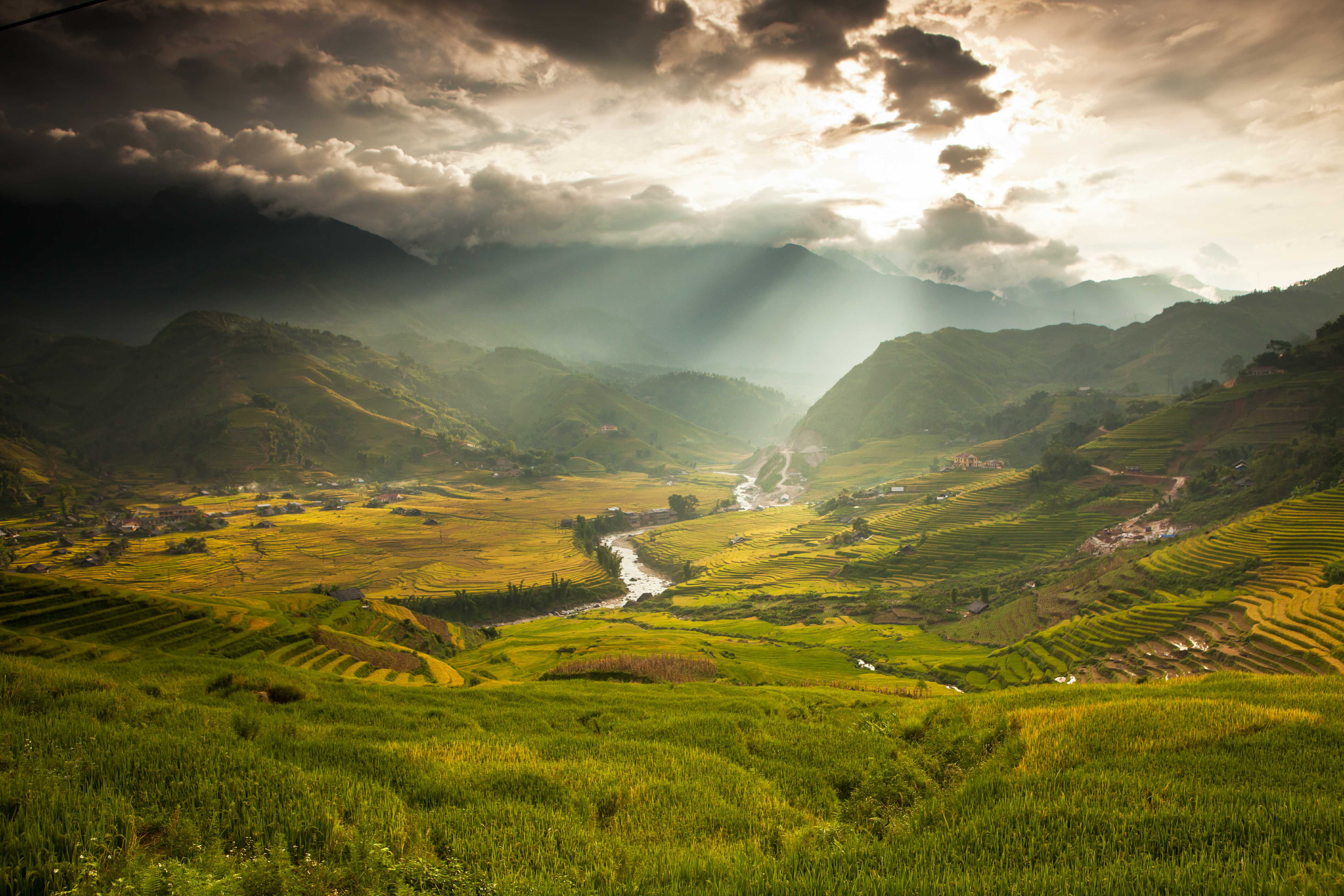 Millwood Pines Sapa Vietnam by Michaelstockfoto - Wrapped Canvas ...