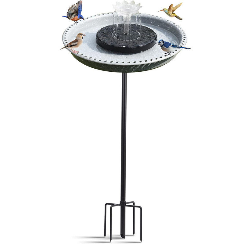 Ivy Bronx Solar Powered Bird Bath Fountains for Hummingbirds, with 5 ...