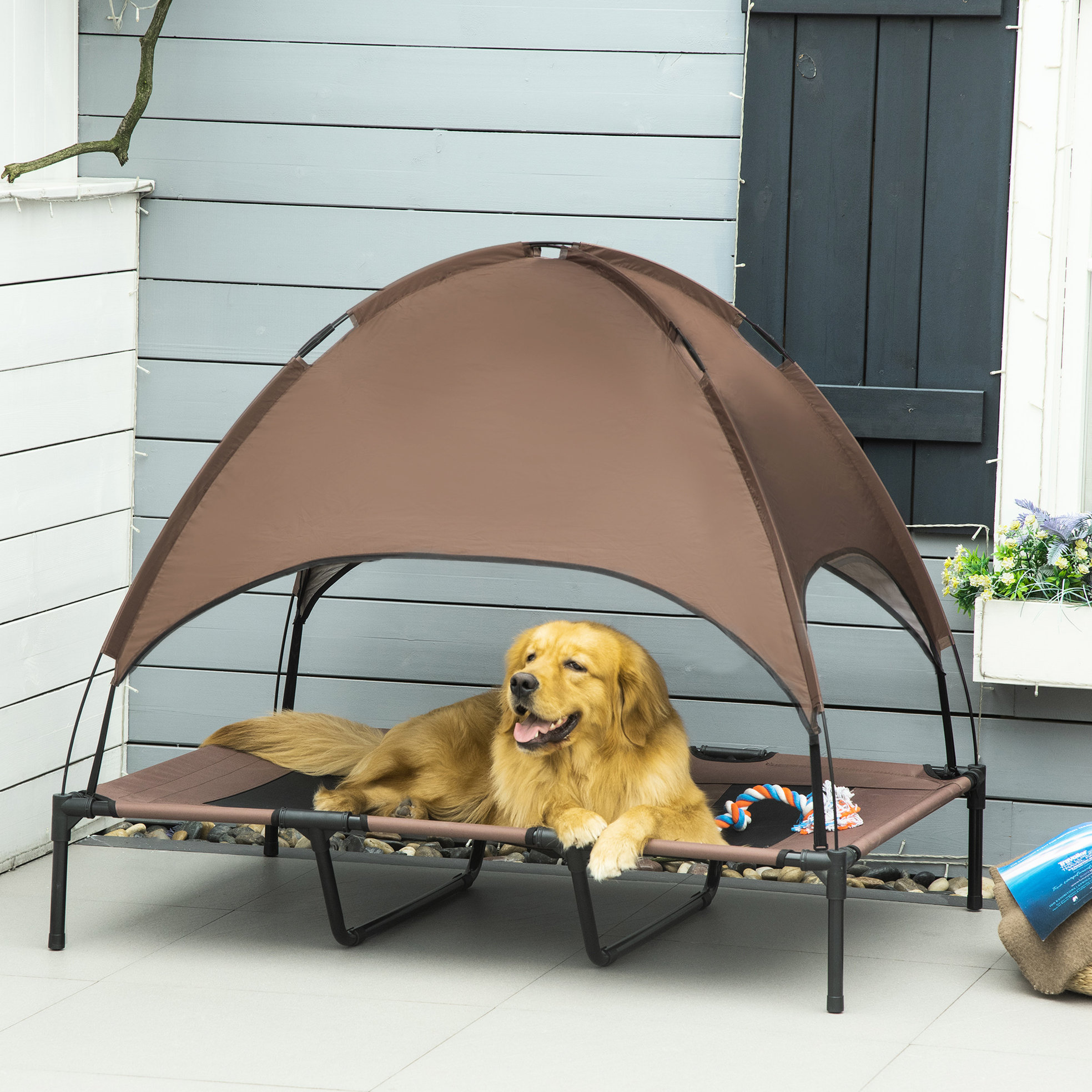 Hokku Designs 48 Inch Elevated Pet Cot With Shielding Canopy - Outdoor ...