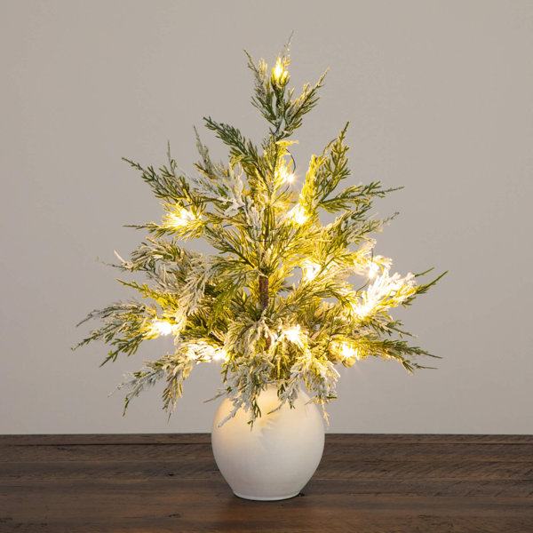 The Holiday Aisle® 18In. Pre-Lit Artificial Mini Snowed Cypress ...