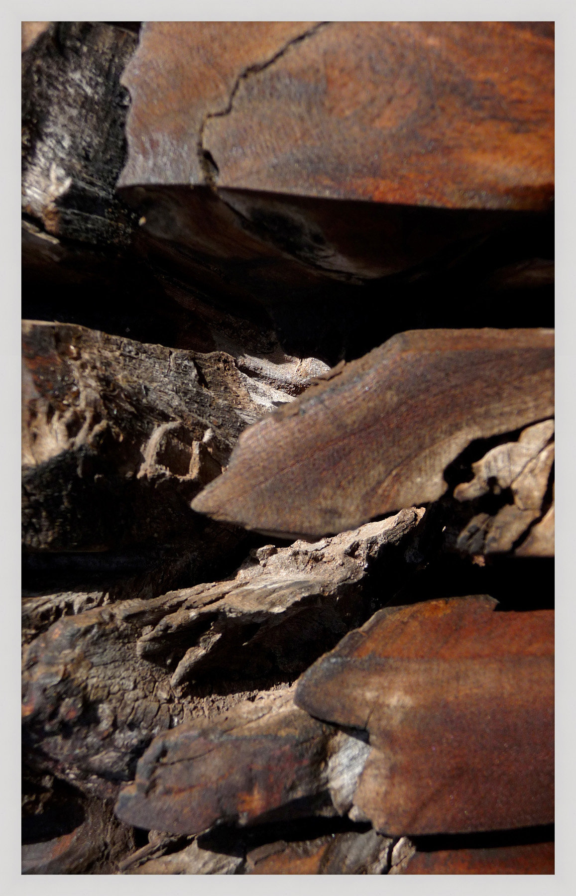 Lillian August Natural Texture Series 8' Framed Photographic Print on ...