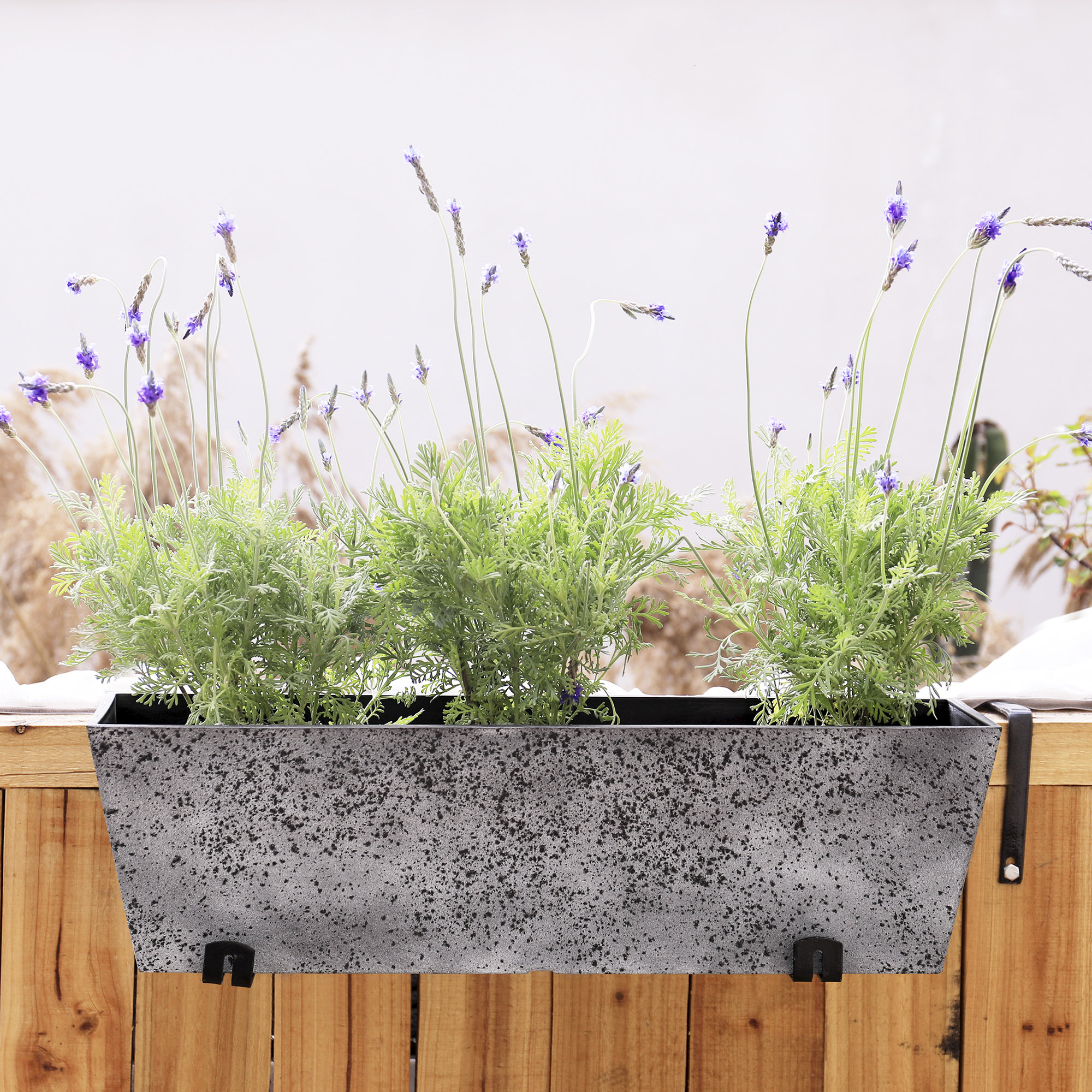 Latitude Run® 2-Piece Plastic Window Box Planter Set & Reviews | Wayfair
