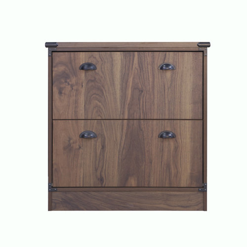 Laurel Foundry Modern Farmhouse Philo 28.9'' Wide 2 -Drawer File ...