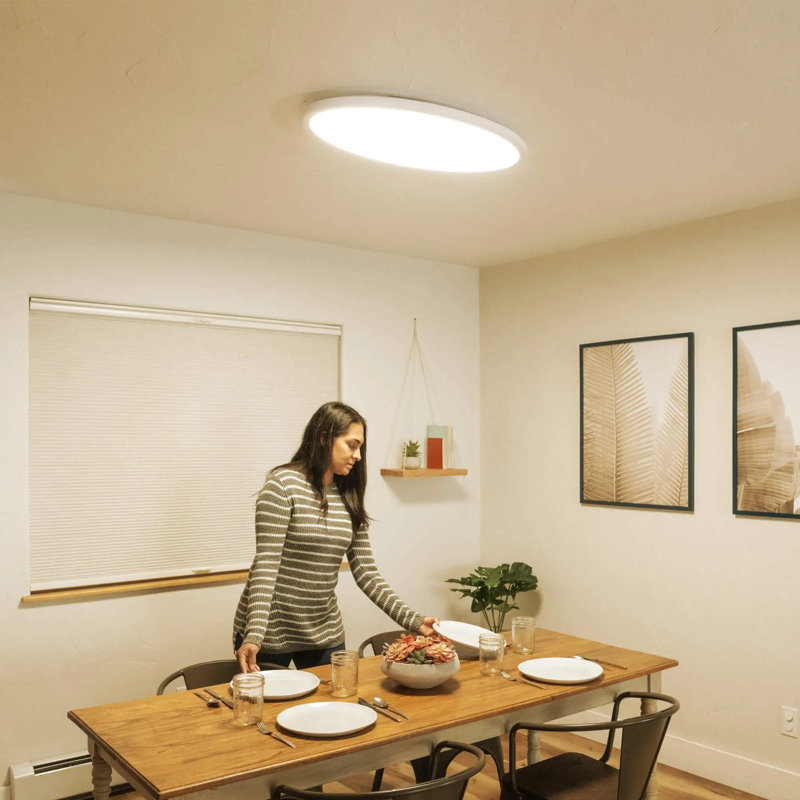 KODA 32" Slim Oval LED Ceiling Light with Adjustable White Color | Wayfair