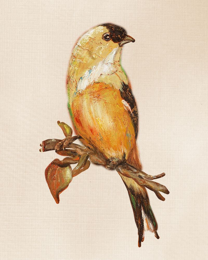 Red Barrel Studio® Bird On Perch III Poster Print By Patricia Pinto (18 ...