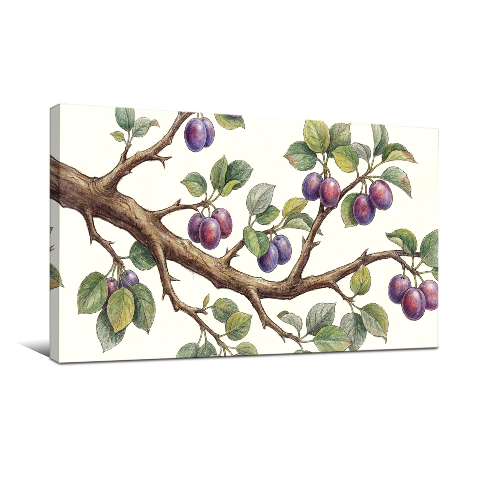 Mercer41 Plants &Flowers Plum Branch With Leaves And Fruits | Wayfair
