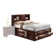 Lark Manor Crowson Bookcase Storage Bed & Reviews | Wayfair